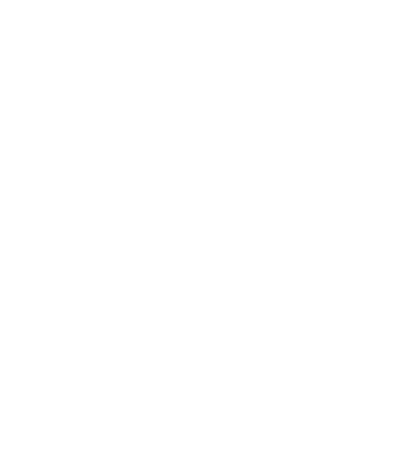 Our AML System – Idenfo